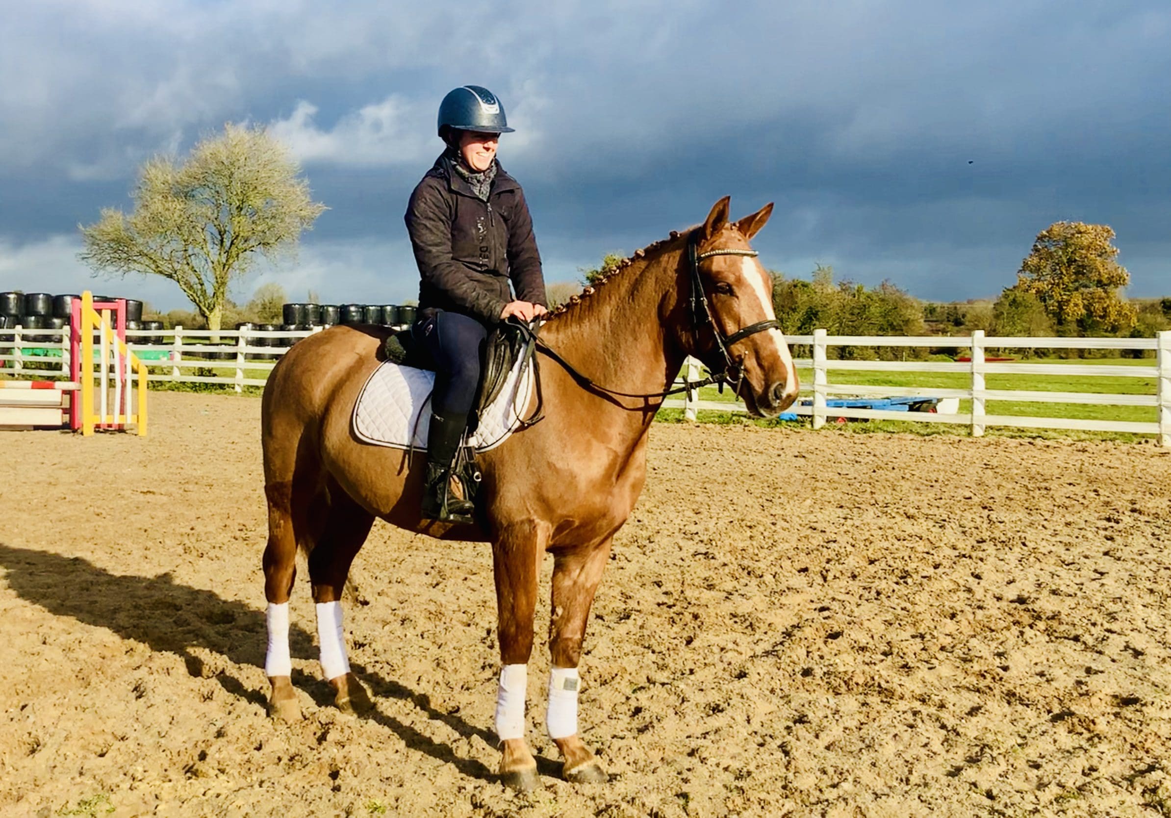 Star - ideal first showjumping pony with 18 SJ points. - Irish Sport Equine