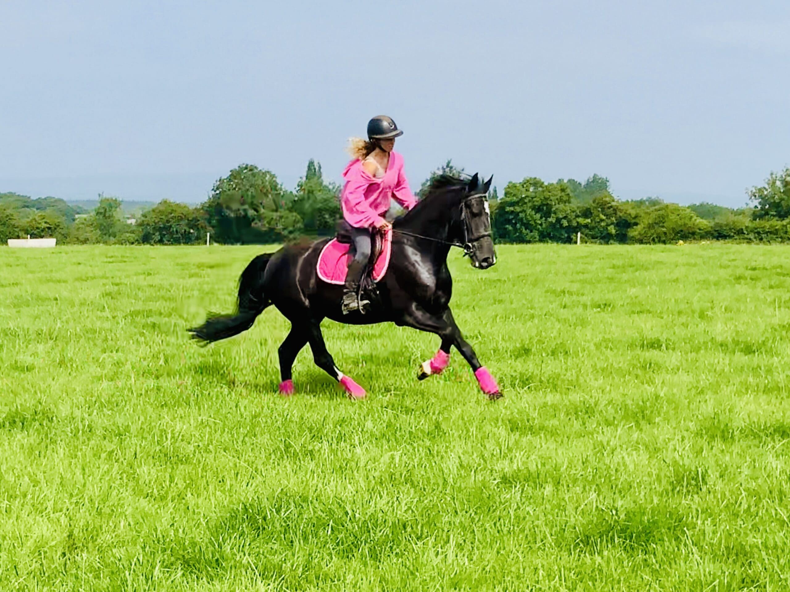 Royal Lady – A Rare Gem of a Mare, Ready to Excel in Any Sphere - Irish ...